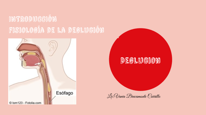 FISIOLOGIA DE LA DEGLUCION by Vania Bracamonte on Prezi