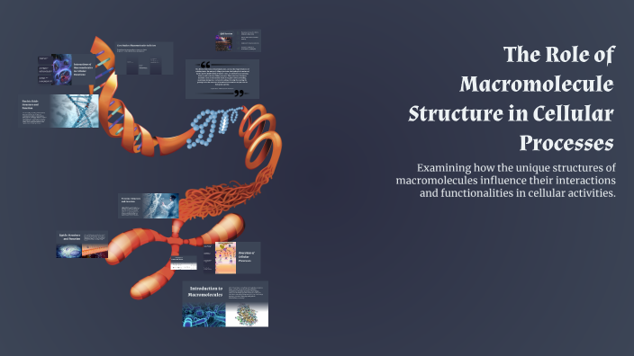 The Role of Macromolecule Structure in Cellular Processes by Shaun ...