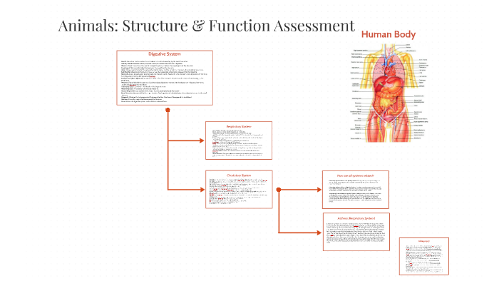 Animals: Structure & Function Assessment by hannah brayford on Prezi
