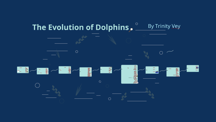 The Evolution of Dolphins by Trinity Vey on Prezi