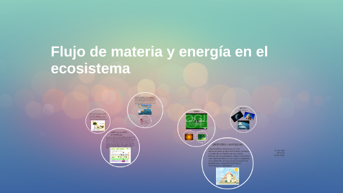 Flujo de materia y energía en el ecosistema by Salome Millan on Prezi