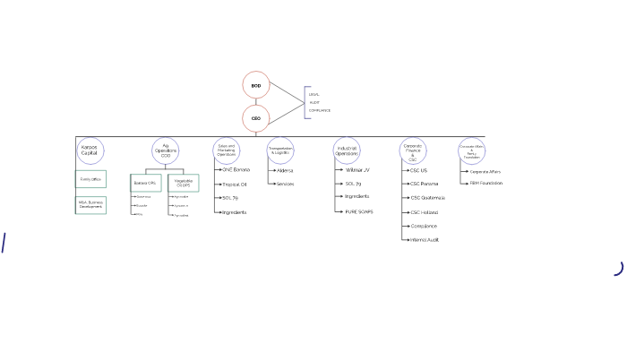 Org. Chart by Gabriela Bolanos on Prezi