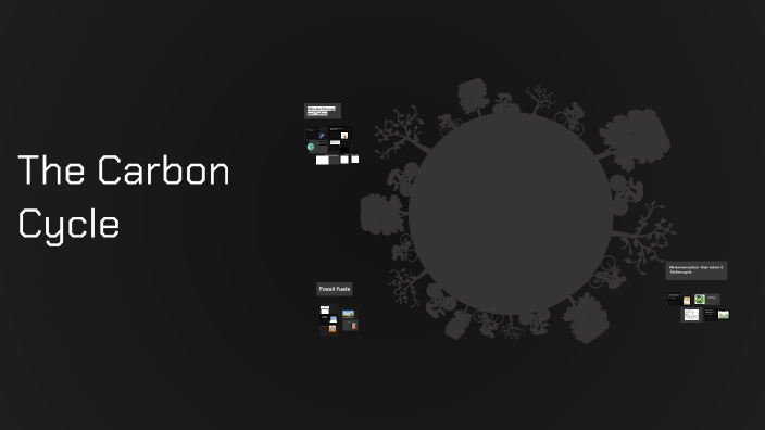 The Carbon Cycle by Plum ramp on Prezi