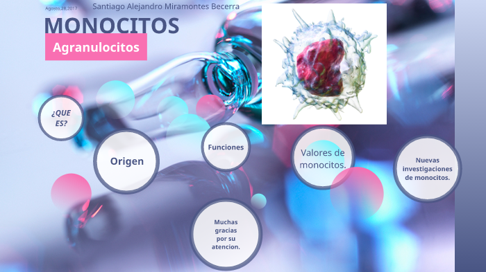 monocitos by santiago alejandro miramontes becerra on Prezi