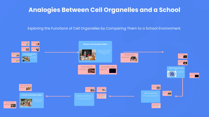 School Cell Analogy by GOPIKA NAIR on Prezi