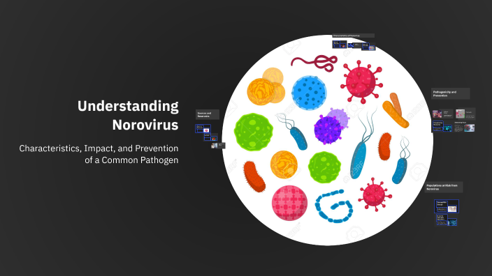 Understanding Norovirus by Claire Gallant on Prezi