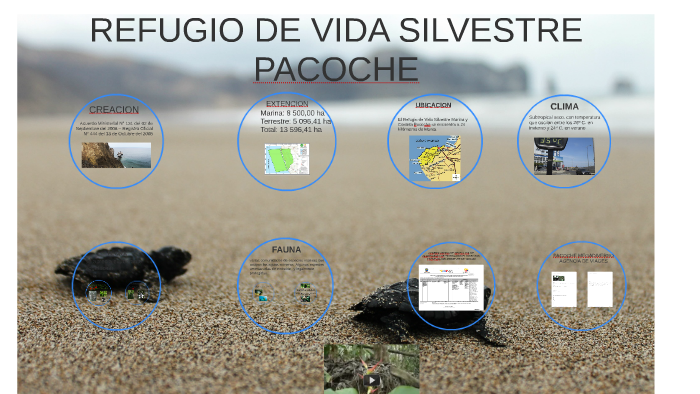 REFUGIO DE VIDA SILVESTRE PACOCHE by Maria Vallejo on Prezi