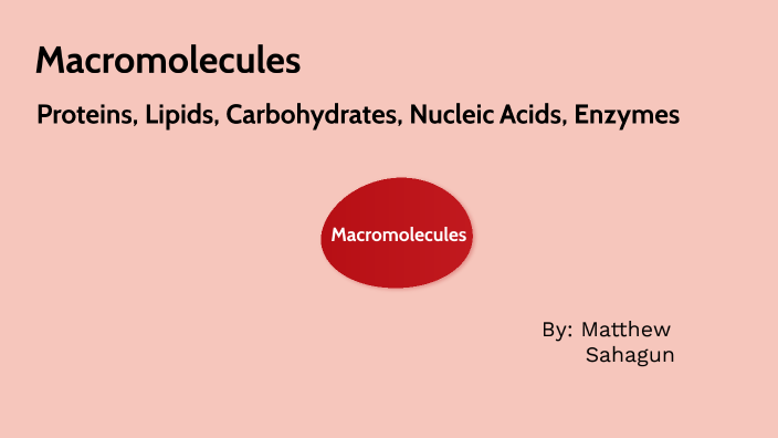 Macromolecule Project - Matthew Sahagun by Matthew Sahagun on Prezi