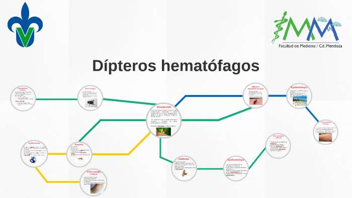 Dípteros hematófagos by Omar Garcia on Prezi