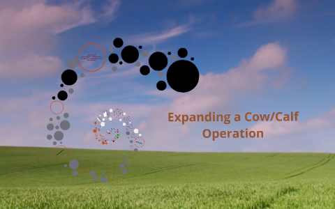 AFS 401 Expanding a Cow/Calf Operation by Riley Nelson on Prezi
