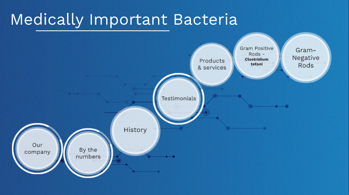 Medically Important Bacteria by on Prezi