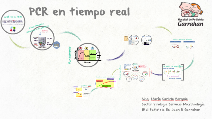 Diagrama Pcr En Tiempo Real