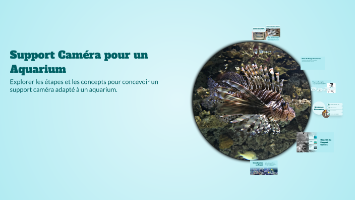 Support Caméra pour un Aquarium by chay stub on Prezi