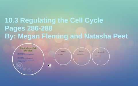 10.3 Regulating the Cell Cycle by Megan Fleming on Prezi