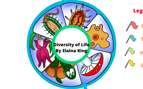 Biology Mind Map on Diversity of Life by Elaina King on Prezi