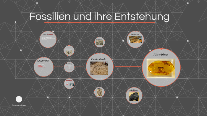 Fossilien und ihre Entstehung by Chiara Michaelis on Prezi