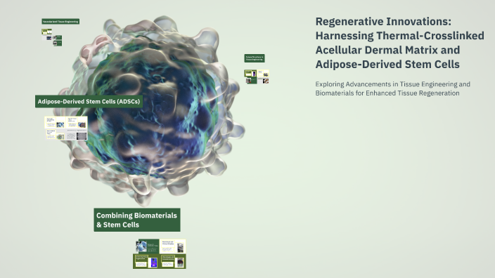 Regenerative Innovations: Harnessing Thermal-Crosslinked Acellular ...