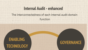 INTERNAL AUDIT COVERAGE - ENHANCED by Audrey Liew on Prezi Design