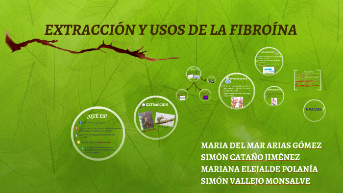FIBROINA by mariana elejalde on Prezi