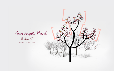AP Biology Scavenger Hunt by Morgan O'Donnell on Prezi
