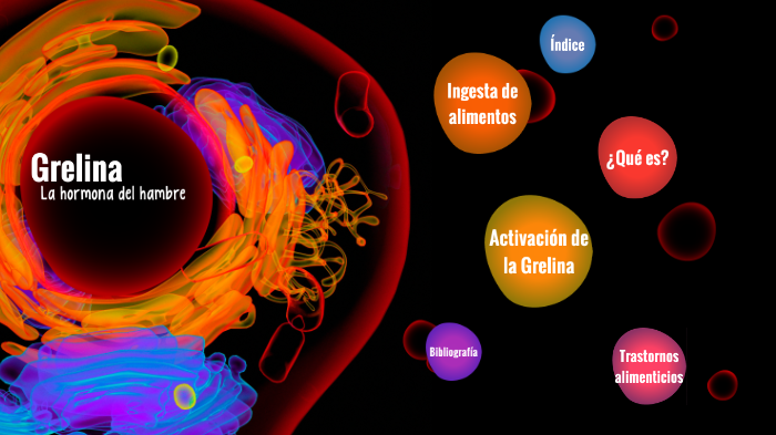 Grelina, hormona del hambre by Lucía Fernández on Prezi