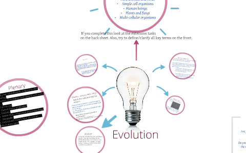 Scientific Theories about the Origin of Humanity: Theory of Evolution ...