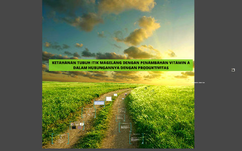 KETAHANAN TUBUH ITIK MAGELANG DENGAN PENAMBAHAN VITAMIN A by ganang ...