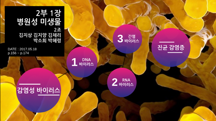 간호미생물학 발표 by chaeri kim on Prezi