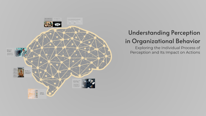 Understanding Perception in Organizational Behavior by Hira Younas on Prezi