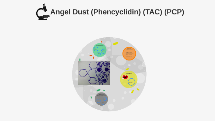 Angel Dust (Phencyclidin) (TAC) (PCP) by Philip Hetling on Prezi