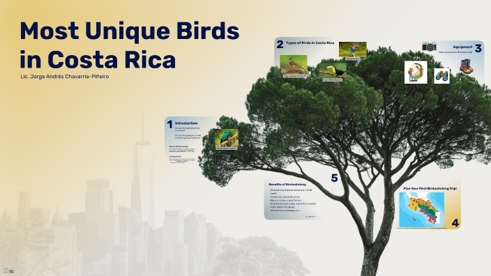 [EXAMPLE - POSTER SESSION] Most Unique Birds in Costa Rica by Jackie ...