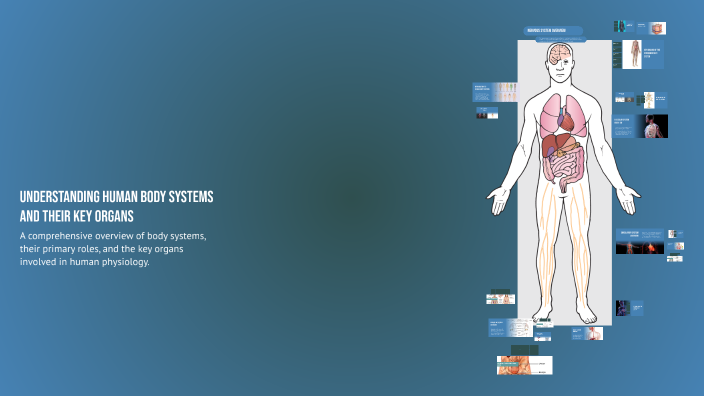 Understanding Human Body Systems and Their Key Organs by fff ffff on Prezi
