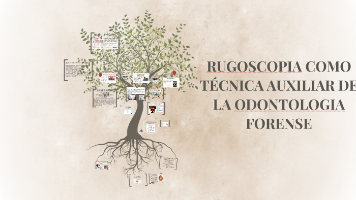 RUGOSCOPIA COMO TÉCNICA AUXILIAR DE LA ODONTOLOGIA FORENSE by on Prezi