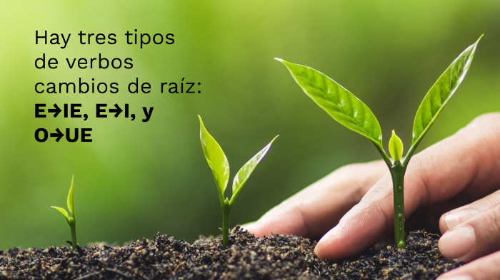Verbos Cambio de Raiz (Stem Changers) by Soledad Garcia-King on Prezi