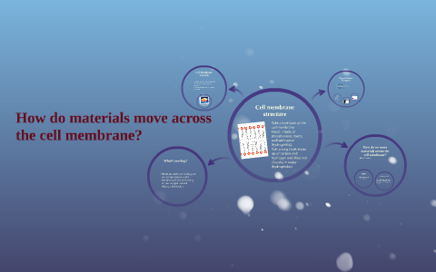 How do materials move across the cell membrane? by CRYSTAL SANDIFORD on ...