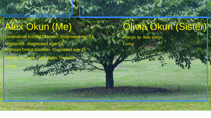 My Family by Alex Okun on Prezi