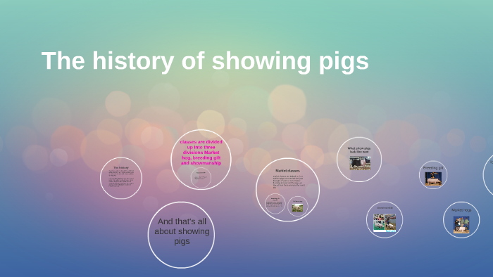 The history of showing pigs by gracy sexton on Prezi
