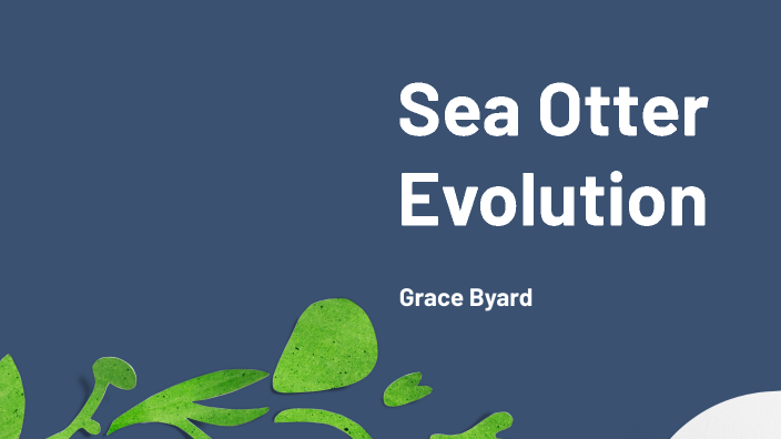 Otter Evolution by Grace Byard on Prezi