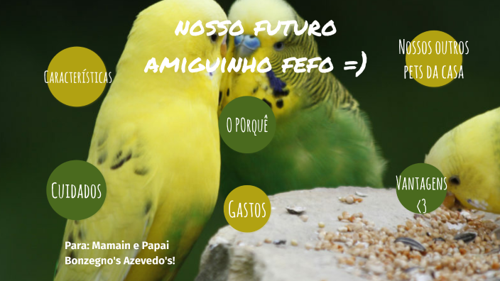 Motivos para ter o Fefo by Mari Azevedo on Prezi