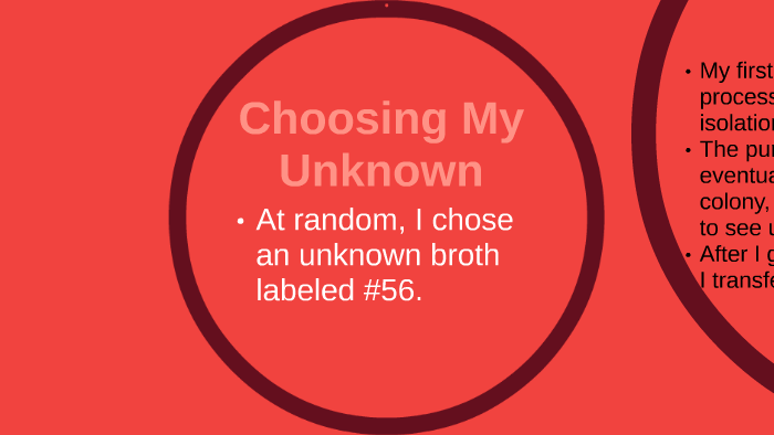 Microbiology Unknown Project by Shanice Davis on Prezi