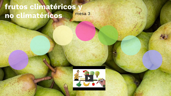 frutos climatéricos y no climatéricos by beam garcia on Prezi