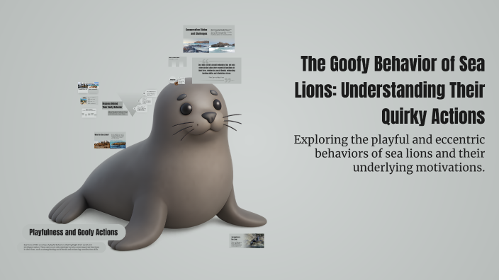 The Goofy Behavior of Sea Lions: Understanding Their Quirky Actions by ...