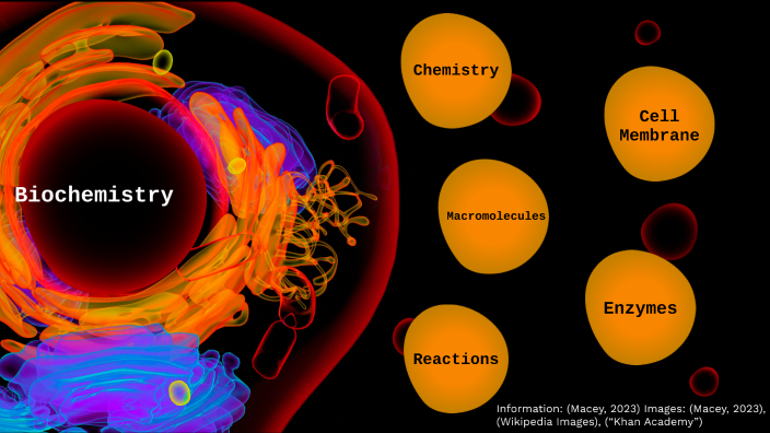 Biochemistry Concept Map by Claire Taggart on Prezi