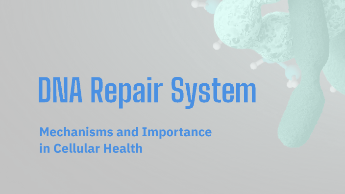 Understanding the DNA Repair System by sai krishna on Prezi