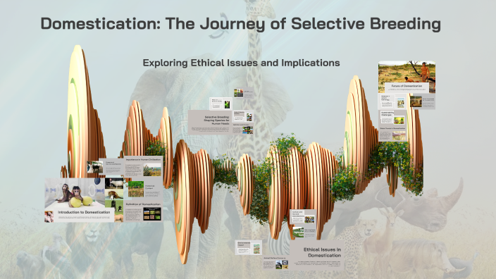 Domestication: The Journey of Selective Breeding by charlotte esser on ...