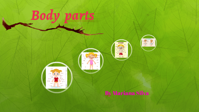 Body parts by on Prezi
