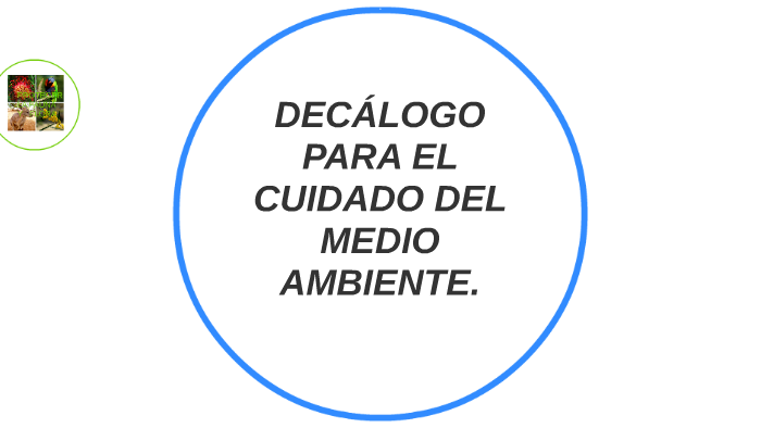 Decálogo Para El Cuidado Del Medio Ambiente By Danna María Mogollón