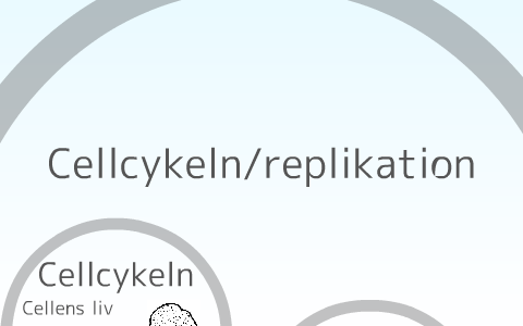 Cellcykeln/replikation by Marcus Dingle on Prezi