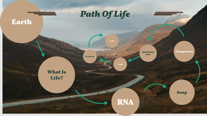 Bio Origin of Life Concept Map by Mike Ingraffia on Prezi