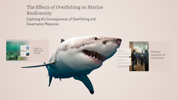 The Effects of Overfishing on Marine Biodiversity by Mia Price on Prezi